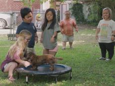 TLC Videos | TLC.com